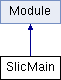 SLIC: SlicMain Class Reference